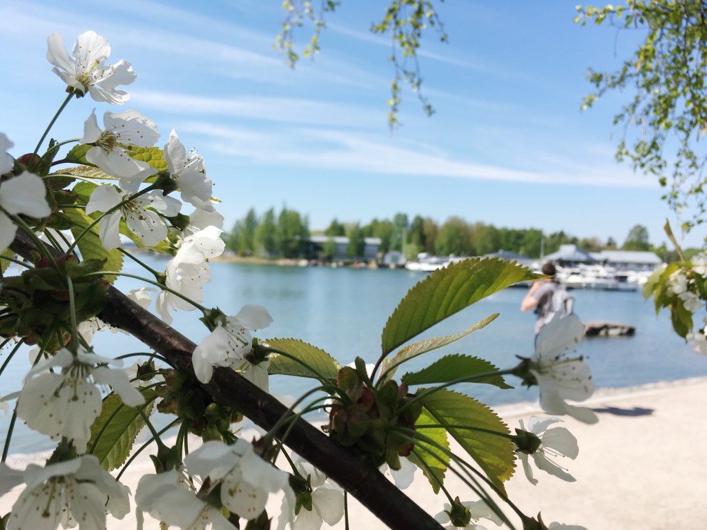 Ways to spend a weekend in Helsinki – Sophar So Good